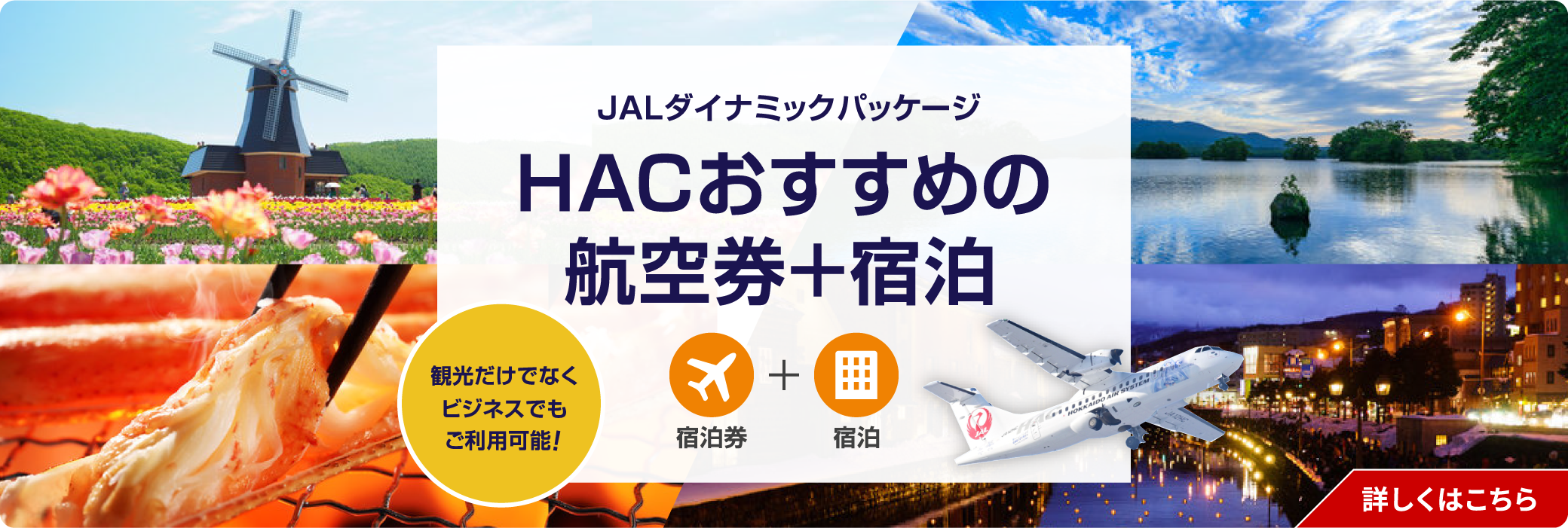 運航情報 - www.info.hac-air.co.jp